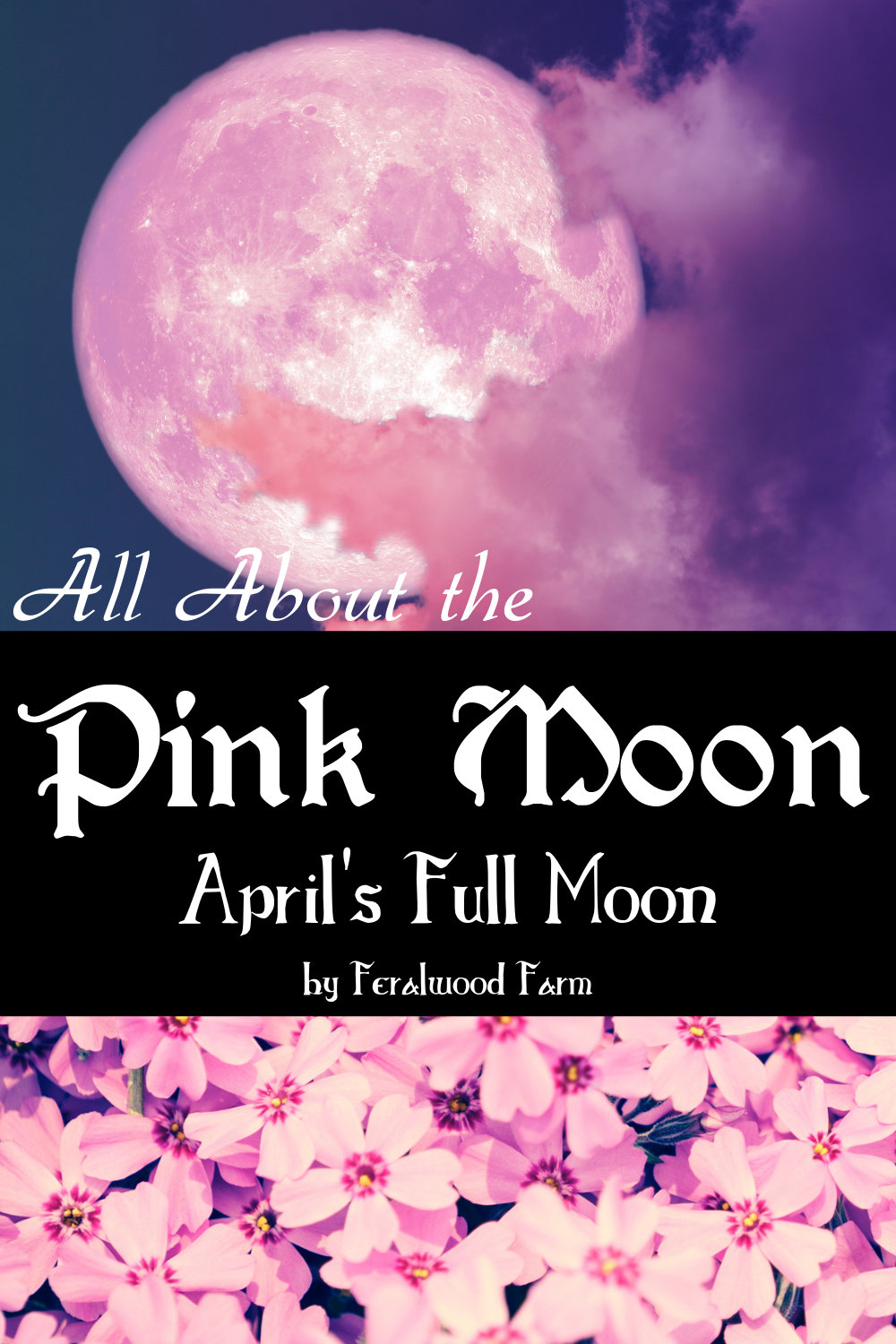 All About the Pink Moon - The Full Moon in April - Feralwood Witch
