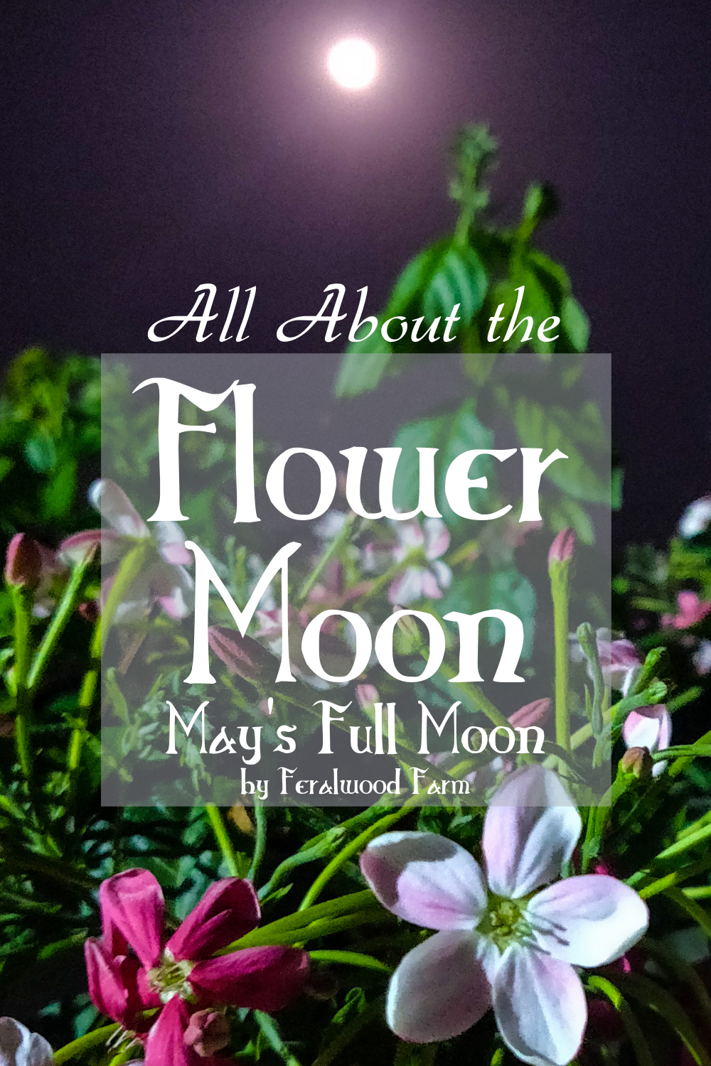 All About the Flower Moon - The Full Moon in May - Feralwood Witch