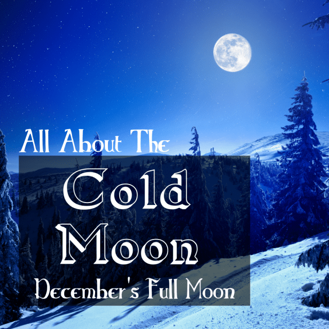 2025 Lunar Calendar: All Full Moons, New Moons, and Eclipse Dates ...