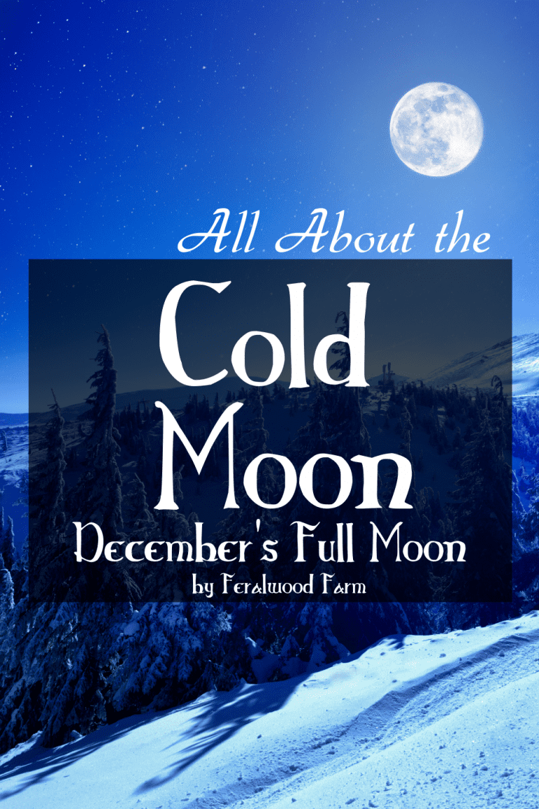 What is the Cold Moon? - December's Full Moon - Feralwood Witch