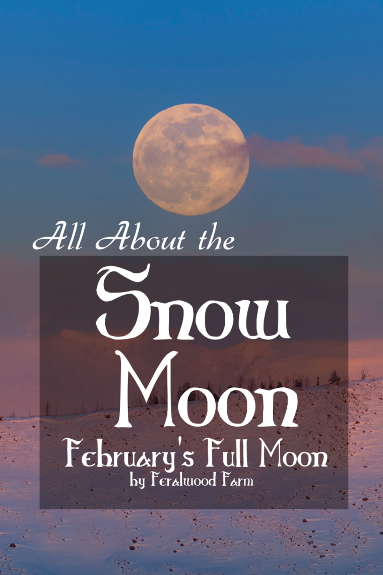 What is the Snow Moon? - February's Full Moon - Feralwood Witch