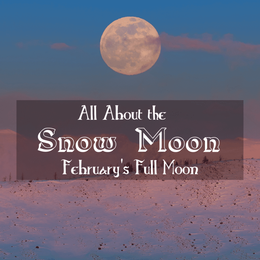 2025 Lunar Calendar: All Full Moons, New Moons, and Eclipse Dates ...