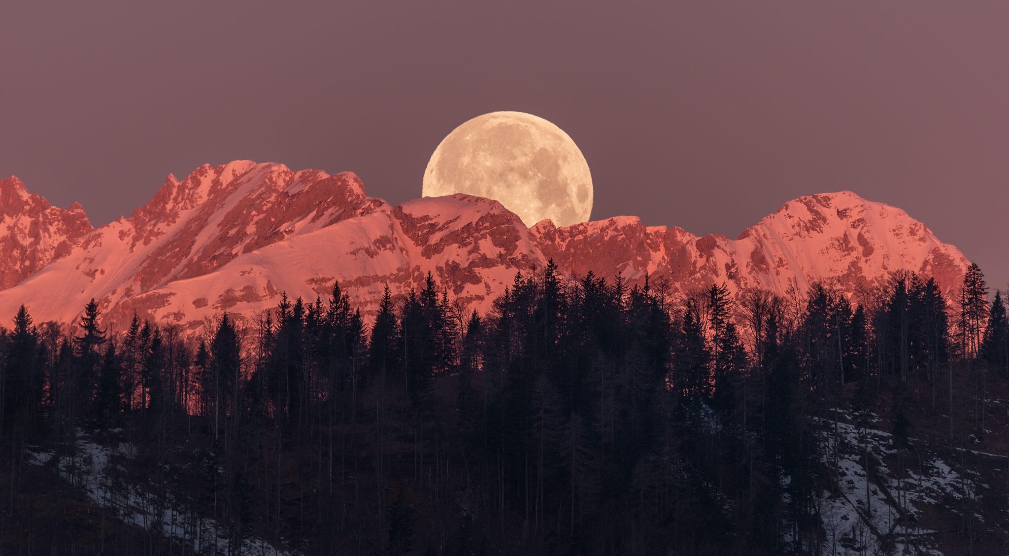 What is the Snow Moon? - February's Full Moon - Feralwood Witch