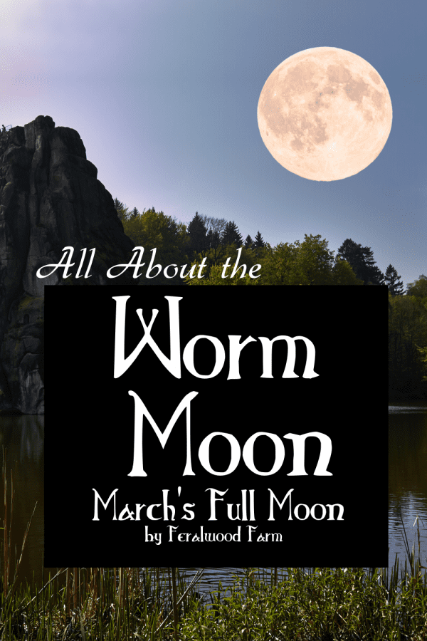 What is the Worm Moon? - The Full Moon in March - Feralwood Witch