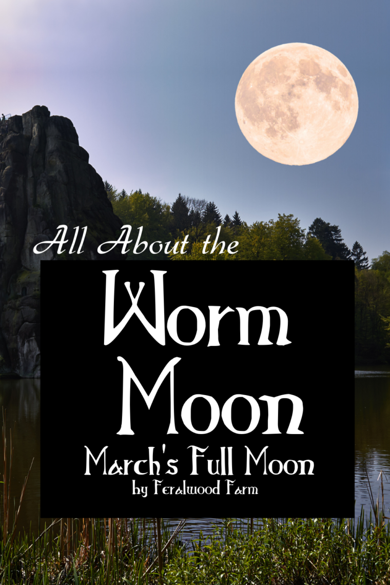 What is the Worm Moon? - The Full Moon in March - Feralwood Witch