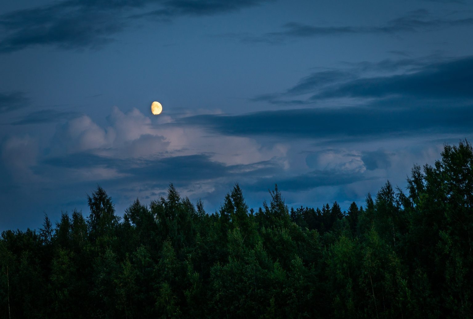 What is the Worm Moon? - The Full Moon in March - Feralwood Witch