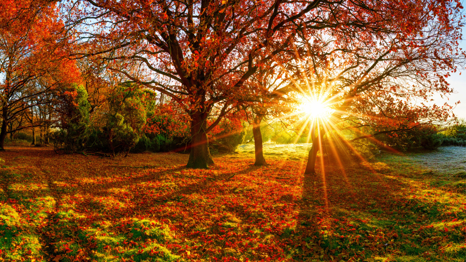 What is Mabon? All You Need to Know about the Autumn Equinox ...